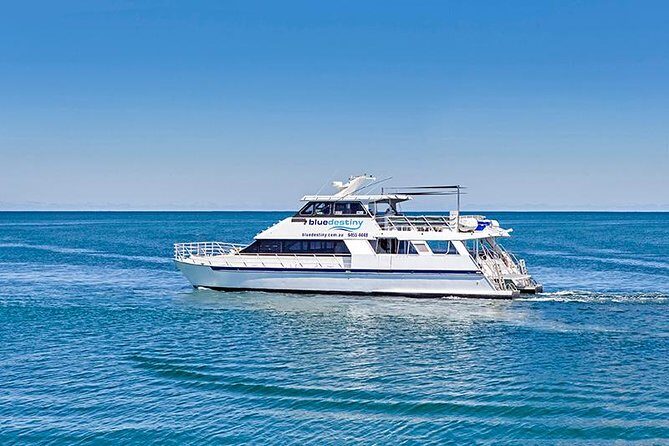 Rottnest Island Boat Dive Day Trip including Lunch - What to Expect When You Book