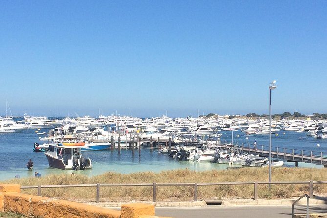 Rottnest Island ECO E Bike Tour - Final Thoughts: Who Is This Tour For?