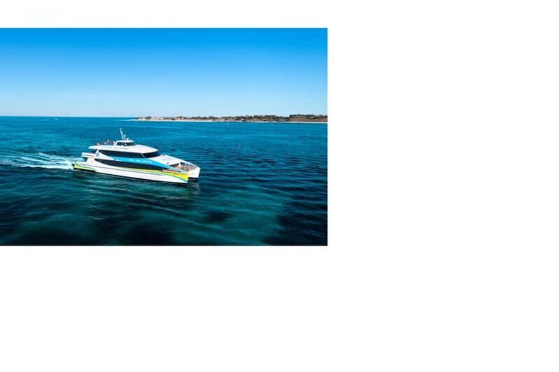 Rottnest Island Ferry and 1.75 Hr Bus Tour - Key Points