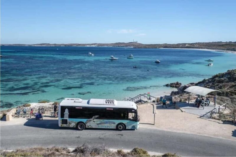 Rottnest Island Ferry and 1.75 Hr Bus Tour - Price, Value, and Practical Tips