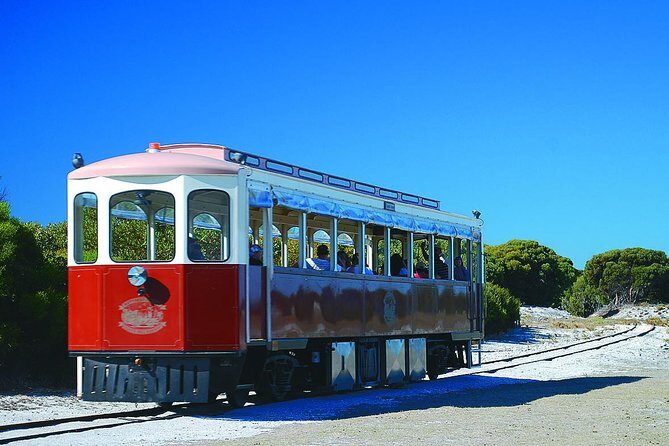 Rottnest Island Grand Tour Including Lunch and Historical Train Ride - The Train and Tunnel Tour