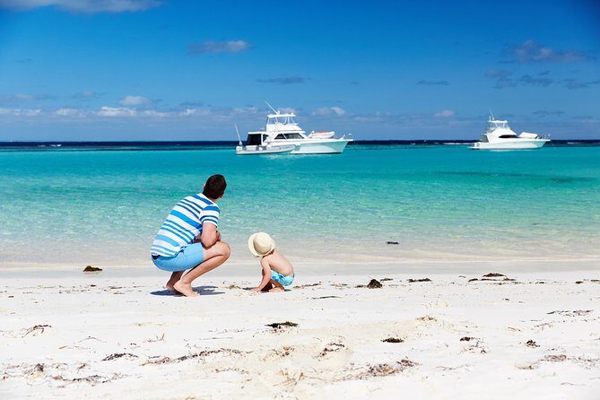 Rottnest Island Grand Tour Including Lunch and Historical Train Ride - Logistics and Group Size