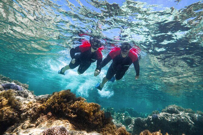 Rottnest Island Guided Snorkel Boat Experience - Frequently Asked Questions