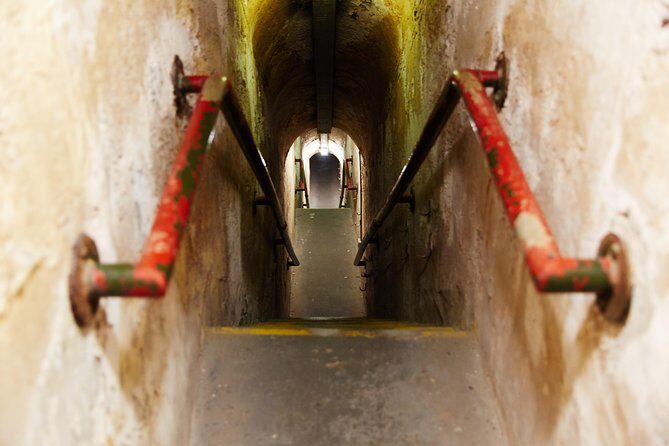 Rottnest Island Oliver Hill Train & Tunnel Tour - Introduction: An Insightful Ride with a View