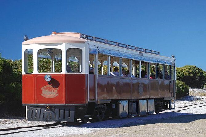 Rottnest Island Oliver Hill Train & Tunnel Tour - Key Points to Keep in Mind