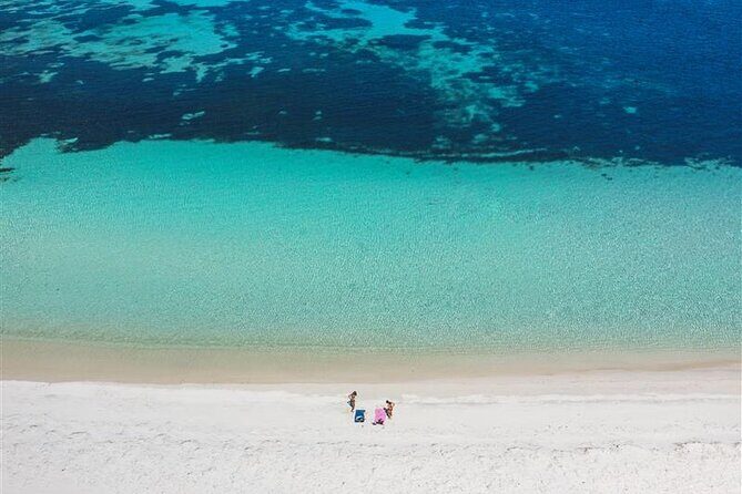 Rottnest Island Round Trip Ferry from Fremantle - An In-Depth Look at the Rottnest Island Ferry Experience