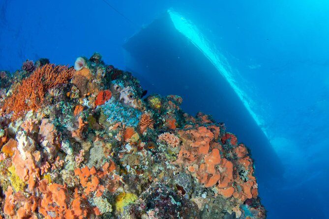 Rottnest Island scuba dive tour - The Guide to the Experience