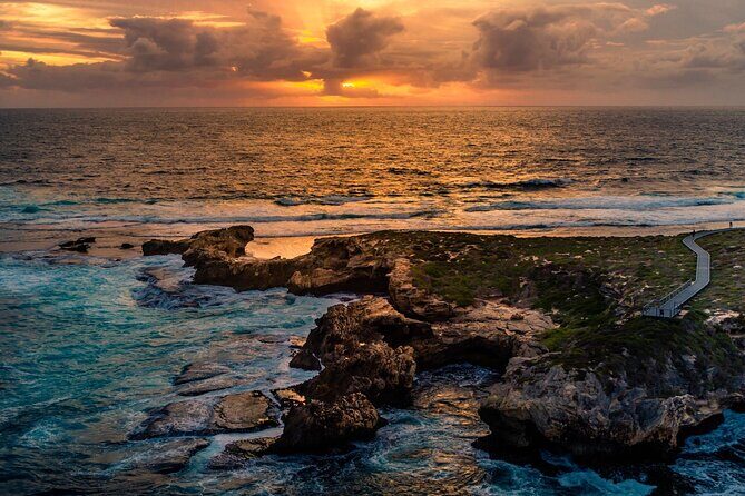 Rottnest Island Seals Sunset and West End Bus Tour - A Closer Look at the Rottnest Island Seals Sunset and West End Bus Tour