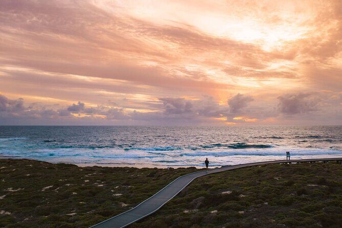Rottnest Island Seals Sunset and West End Bus Tour - The Experience in Detail