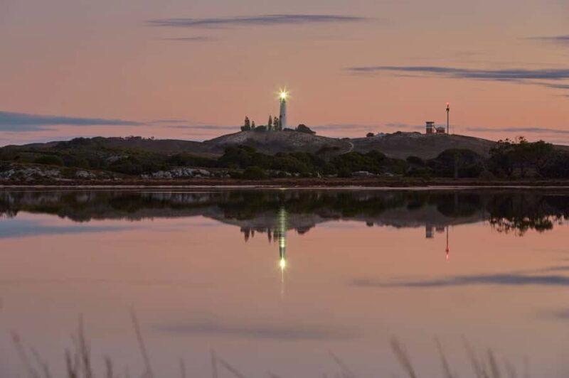 Rottnest Island Seals, Sunset & West End Bus Tour - Key Points