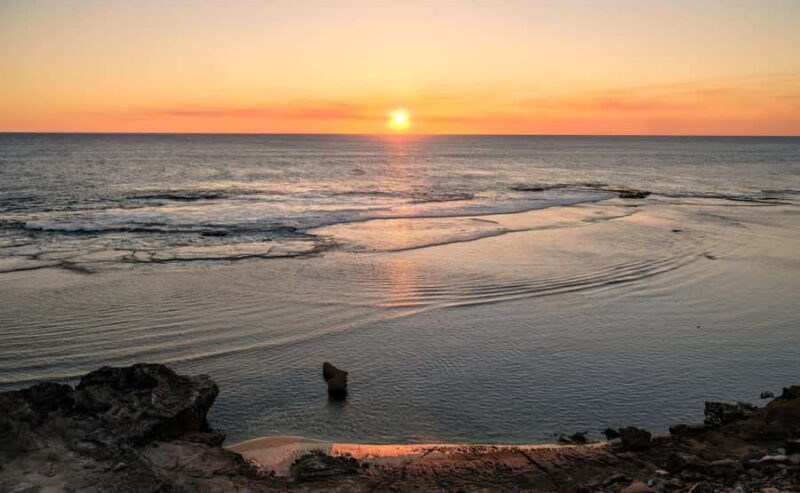 Rottnest Island Seals, Sunset & West End Bus Tour - The Sum Up