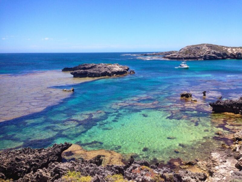 Rottnest Island Segway 1-Hour Settlement Tour - The Experience in Detail
