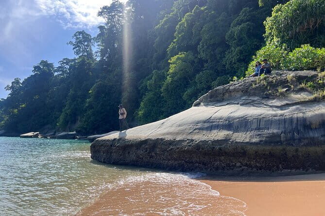 Rouge Beach Forest Walk - Key Points