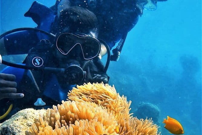 Rouge Beach Forest Walk - Practical Tips for Visitors