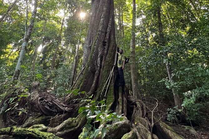 Rouge Beach Forest Walk - FAQ