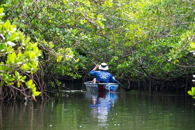 Round Island 2-Hour Glass Bottom Guided Kayak Eco Tour - An Up-Close Look at the Tour Itinerary