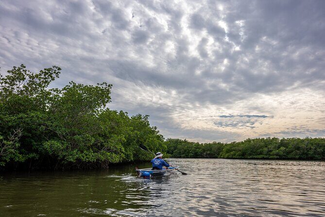 Round Island 2-Hour Glass Bottom Guided Kayak Eco Tour - What Makes This Tour Stand Out?
