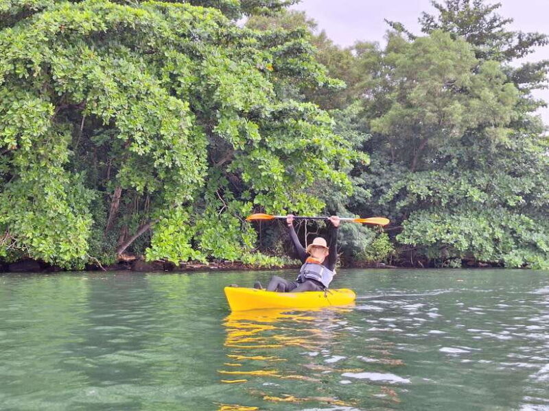 Round Ketam Kayaking at Pulau Ubin - Introduction: What the Experience Promises