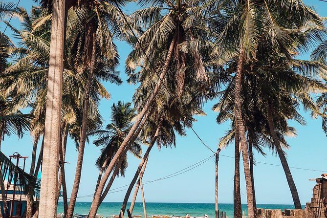 Round tour - 7days & 6nights - An In-Depth Look at the 7-Day Sri Lanka Tour