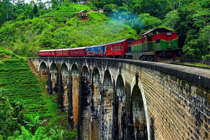 Round tour in Sri Lanka 11daysby Aaliya Tours-Hotels with H/B - Key Points