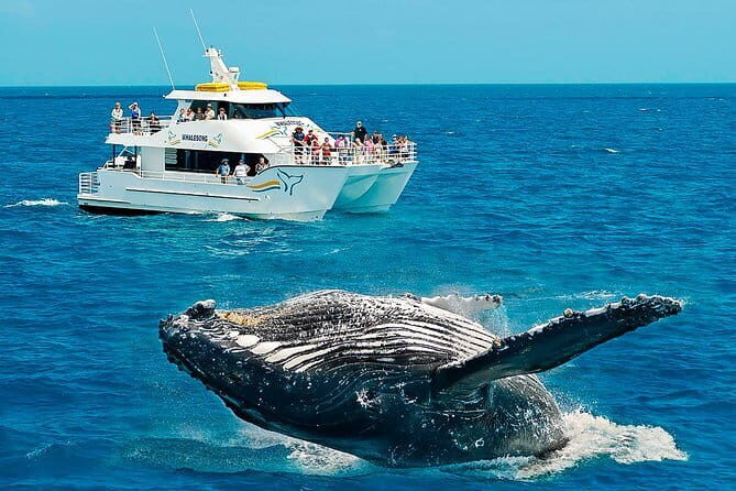 Round tour in Sri Lanka 11daysby Aaliya Tours-Hotels with H/B - Introduction: Is This Tour Right for You?