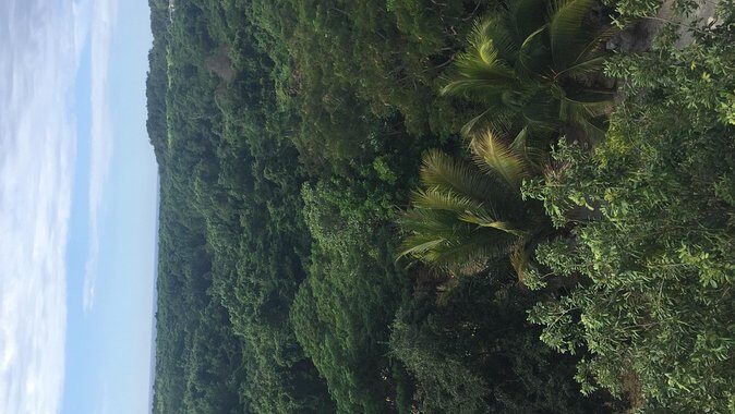 Round trip airport hotel transfer MBJ-Negril - The Details of Your Jamaican Transfer