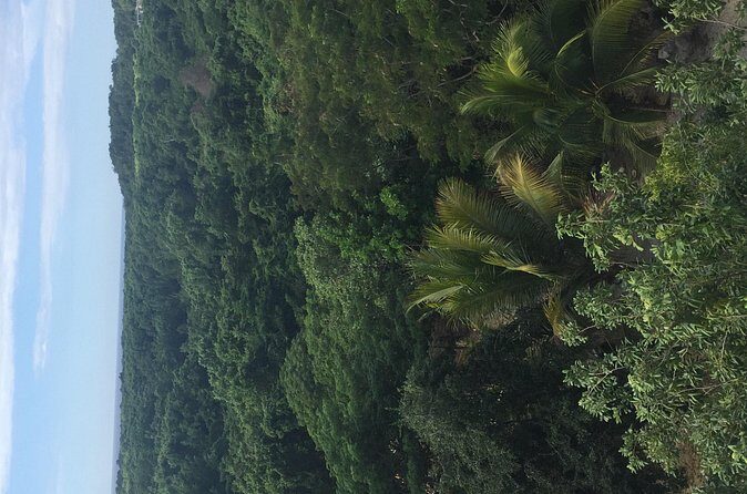 Round trip airport hotel transfer MBJ-Negril - Final Thoughts: Is It Worth It?