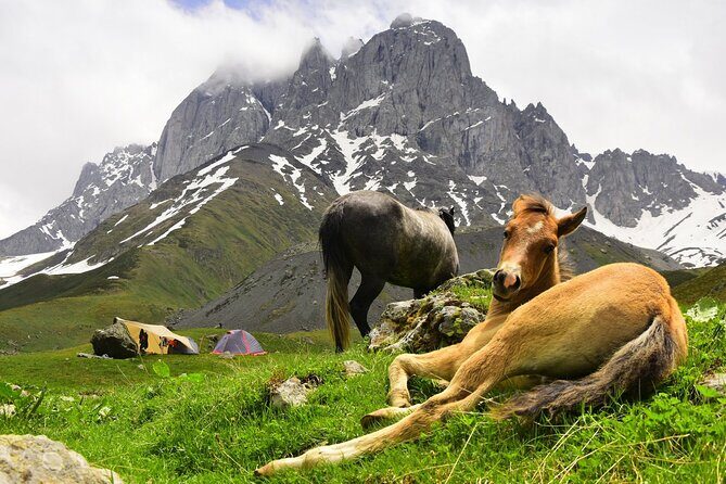 Round Trip Bus Transfer to Juta from Kazbegi - Practical Tips for Travelers