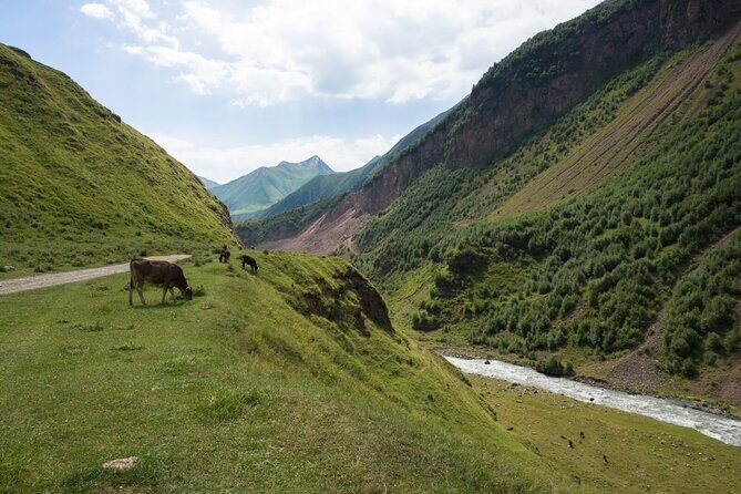 Round-Trip Bus Transfer to Truso Valley from Kazbegi - The Experience on the Ground