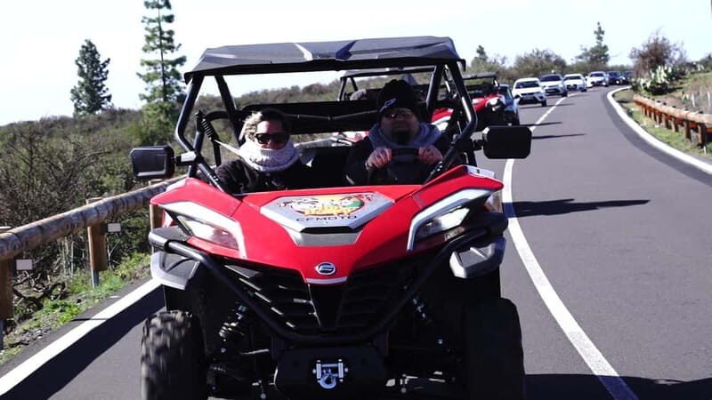 Round-Trip Coastal Buggy Tour in Tenerife - Who Will Love This Tour?