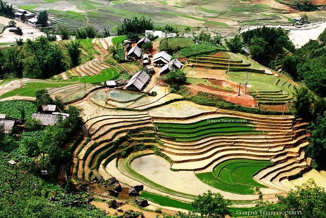 Round - Trip Hanoi - Sapa - Hanoi Private Vehicle Charter - Driver Quality and Customer Experiences