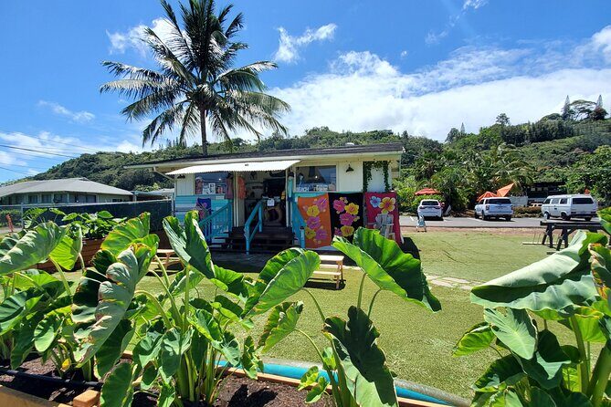Round Trip North Shore Shuttle from Waikiki to Haleiwa Town / Haleiwa Harbor - Detailed Breakdown of the Experience