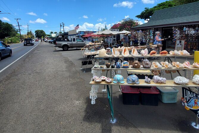 Round Trip North Shore Shuttle from Waikiki to Haleiwa Town / Haleiwa Harbor - Final Thoughts: Who Will Love This Experience?
