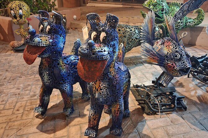 Round Trip Private Trip Los Cabos-San Jose Cabo Airport - In-Depth Look at the Itinerary and Features