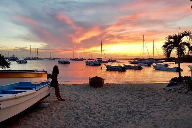 Round Trip Punta Cana Airport Shuttle - An In-Depth Look at the Service