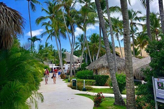 Round Trip Punta Cana Airport Shuttle - Who Should Consider This Service?