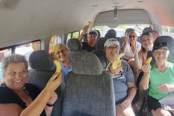 Round-Trip St. Lucia Airport Transfer to any Sandals Resort - The Experience: What You Can Expect