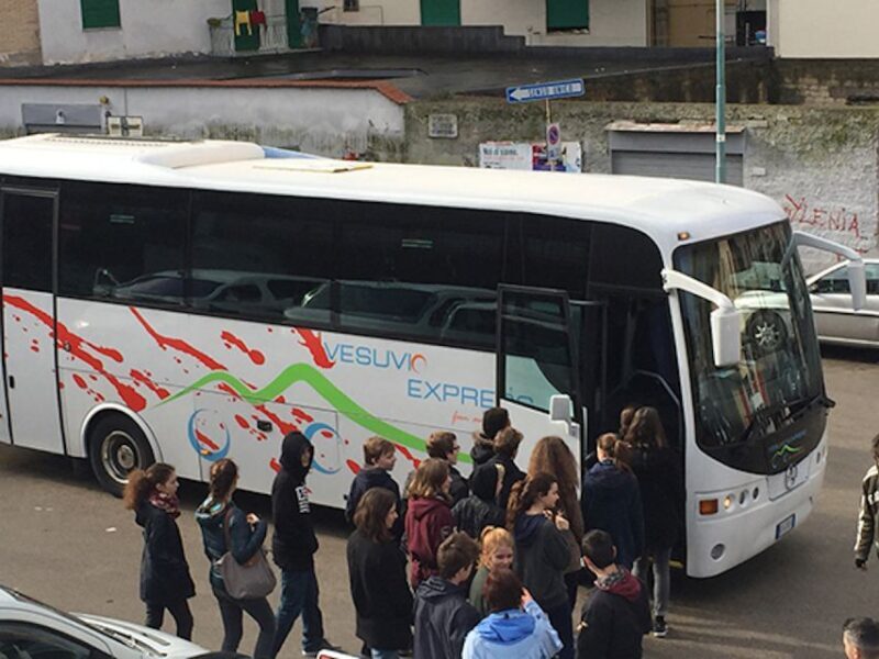 Round-Trip to Vesuvius National Park From Ercolano - Key Points