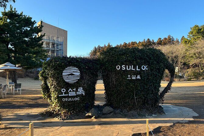 Round-trip transportation service to O`sulloc Tea Museum - Key Points