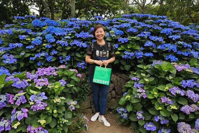 Round-trip transportation service to O`sulloc Tea Museum - How the Tour Fits Into Your Jeju Itinerary