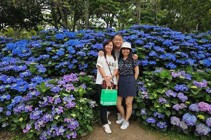 Round-trip transportation service to O`sulloc Tea Museum - FAQ