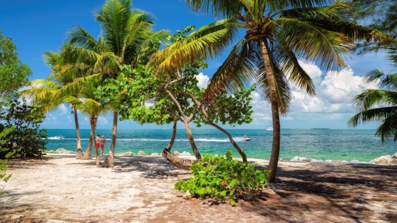 Round Trip Transportation to Key west from Miami - The Real-World Experience: What Do Travelers Say?