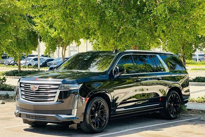 ROUNDTRIP Bavaro/Punta Cana AREA - PUJ Airport - LUXURY SERVICE - The Itinerary and What to Expect