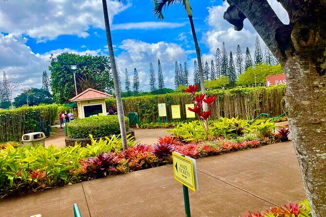 Roundtrip Shuttle From Waikiki to Dole Plantation & Haleiwa Town - Comprehensive Review of the Roundtrip Shuttle from Waikiki to Dole Plantation & Haleiwa Town