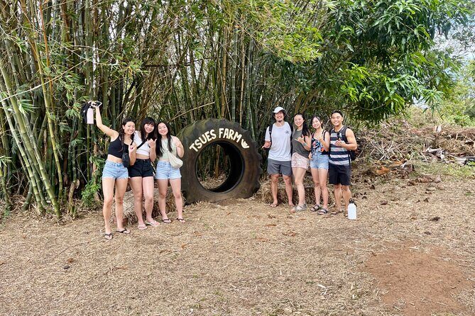 Roundtrip Shuttle From Waikiki to Dole Plantation & Haleiwa Town - The Sum Up: Who Will Truly Appreciate This Tour?