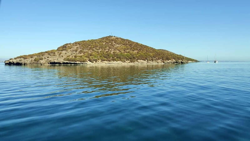 Route 5 Mar Menor Islands - Pricing and Value for Money