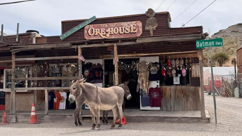 Route 66 Day Tour from Las Vegas: Oatman, Nelson & Kingman - Who Should Consider This Tour?