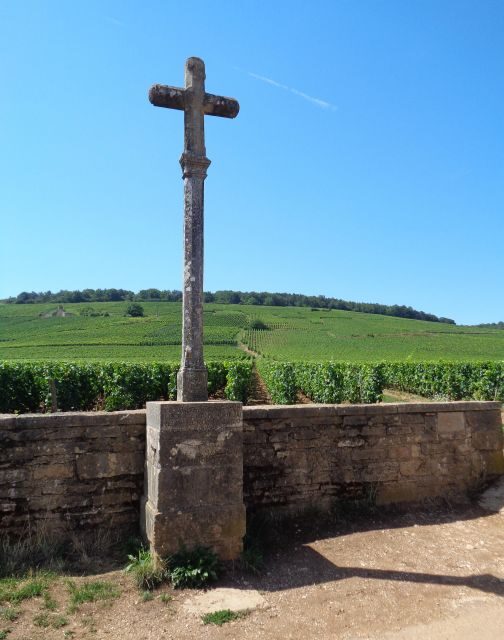 "Route des grands crus", private wine tasting in Burgundy ! - Key Points