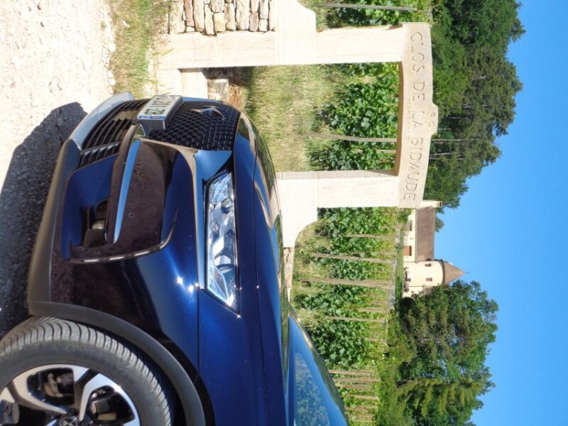 "Route des grands crus", private wine tasting in Burgundy ! - Who Would Love This Tour?