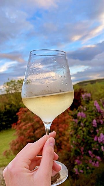 Route du Champagne: Food and wine tour - An In-Depth Look at the Tour